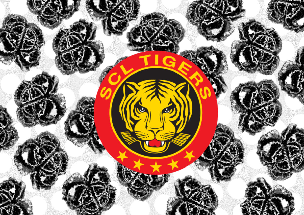 Regionalmuseum Chüechlihus - Regionalmuseum Chüechlihus